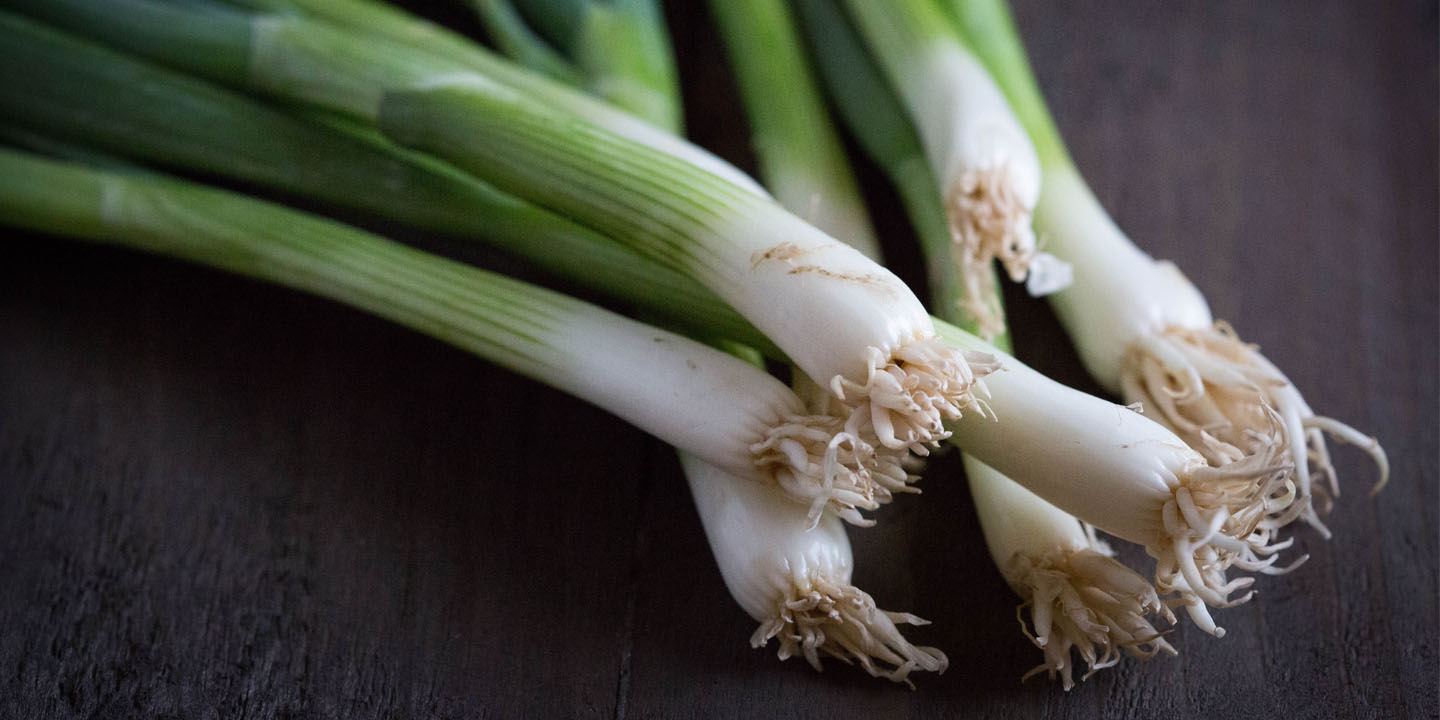 Smoked Haddock & Spring Onion Recipe - The Hollies Farm Shop