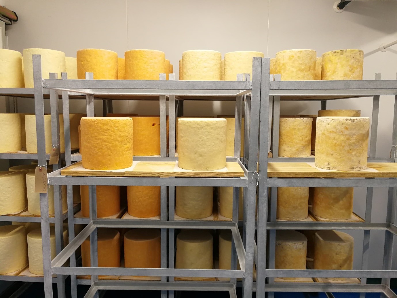 Sparkenhoe Red Leicester - The Hollies Farm Shop